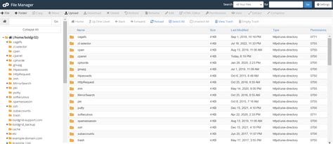 what are cpanel accounts inmotion hosting
