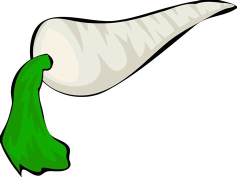 Parsnip Icon Download For Free Iconduck