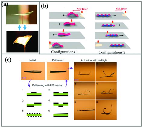 A Actuating Behavior Of Lcp Film When Heated By Ir Lamp Reproduced Download Scientific