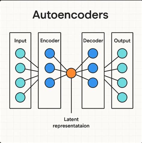 Exploring Autoencoders A Key To Efficient Data Representation Suraj