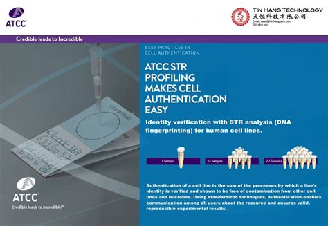 Get Expert Analysis And Peace Of Mind Atcc® Human Cell Authentication