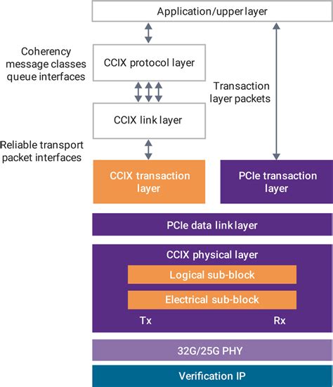 Ccix Ip Designware Ip Synopsys