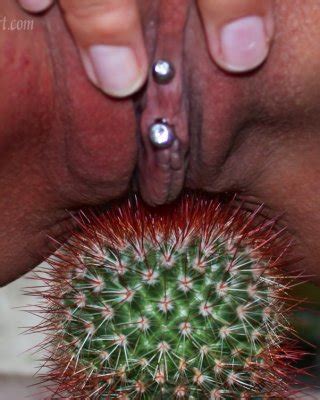 Hot Cunt Cock On Cactus Pussy Cocktus Porn Pictures XXX Photos Sex Images PICTOA