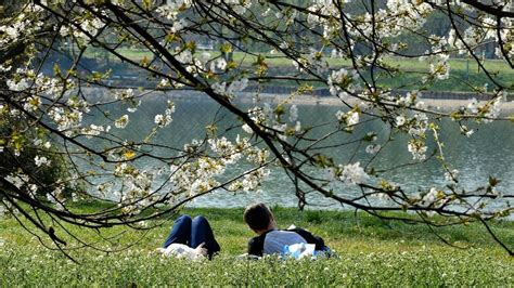 휴식이 필요할 때 편안한 피아노 음악 🌿 공부 독서 요가 명상 수면🧘🏻 Relaxing Piano Music I