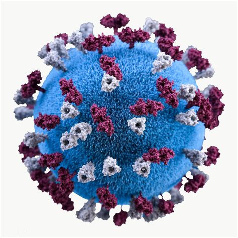 Measles Virus Under Microscope