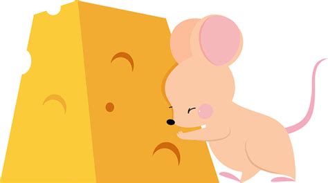 치즈 벡터 일러스트의 거대한 슬래브를 밀어 뾰족한 주둥이와 둥근 귀 귀여운 마우스 가리키기에 대한 스톡 벡터 아트 및 기타 이미지 가리키기 귀 부분 독일 Istock