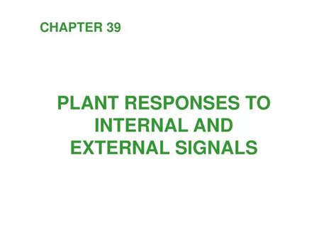 Ppt Plant Responses To Internal And External Signals Powerpoint Presentation Id1155598