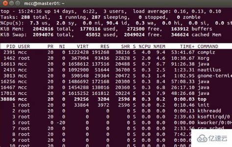 Linux查看内存使用率百分比的方法 建站服务器 亿速云