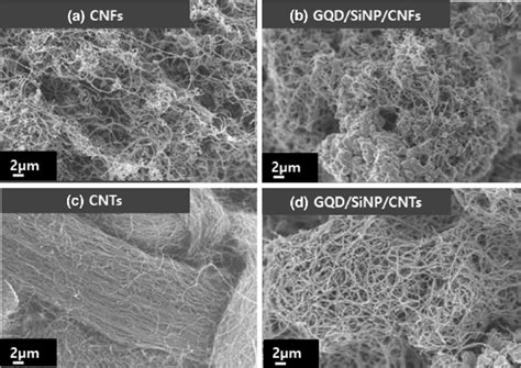 Sem Images At 2 μm Scale A Cnfs B Gqd Sinp Cnfs Composite C Cnts