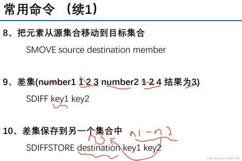 205 数据类型 集合 Csdn博客