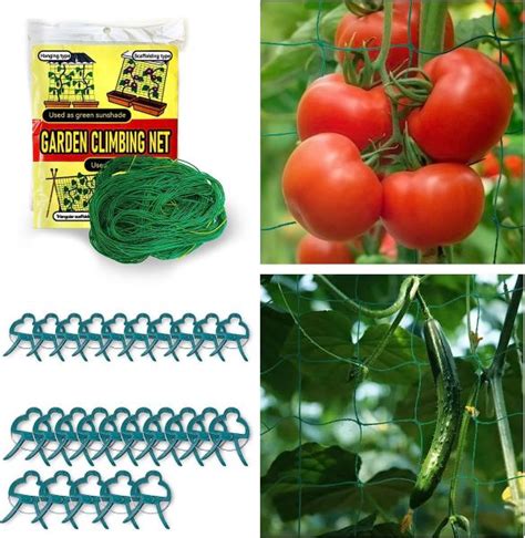 Dropship Garden Trellis Netting With Garden Clips Protect Fruit Tree And Vegetable Plant