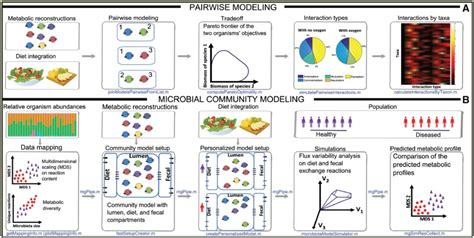 The Microbiome Modeling Toolbox From Microbial Interactions To