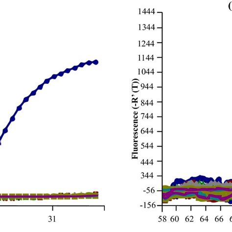 Specificity Test A Amplification Plots B Dissociation Curve Genomic