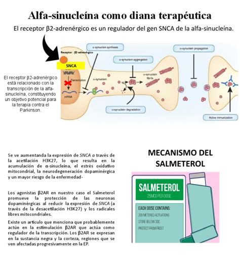 Alfa Sinucleína Y Terapia En Parkinson Pdf