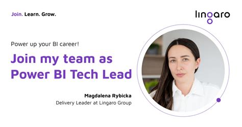 lingaro on linkedin power bi tech lead