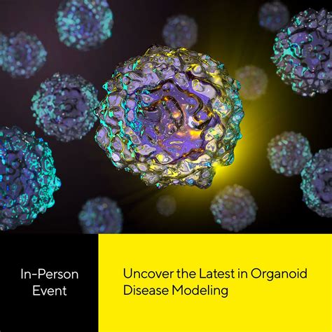 Cellcelector Single Cell Colony Or Organoid Selection And Retrieval