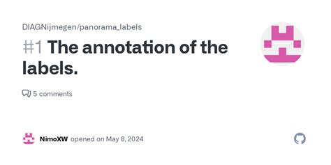 The Annotation Of The Labels Issue DIAGNijmegen Panorama Labels GitHub