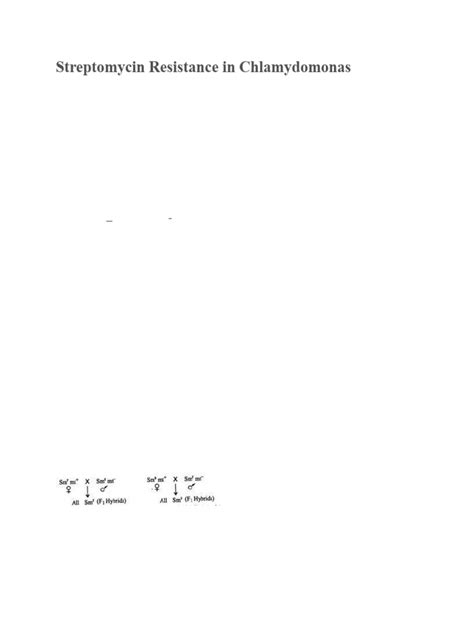 2129 Streptomycin Resistance In Chlamydomonas Pdf Meiosis Sex