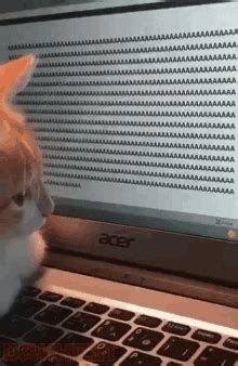 Aaaaaaaaaaa  Aaaaaaaaaaa Discover And Share S