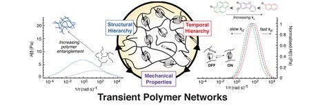 Publications — Supramolecular Biomaterials