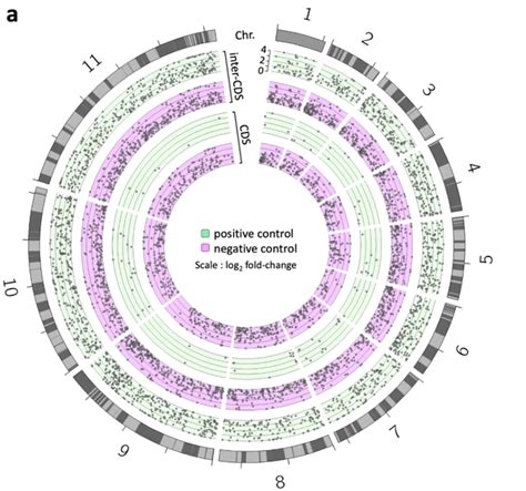 Gene Expression Reprogramming By Thousands Of Rna Sequences Wcair
