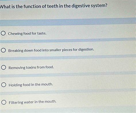 Solved What Is The Function Of Teeth In The Digestive System Chewing Food For Taste Breaking