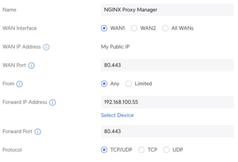Homelab Networking Cloudflare NGINX Split DNS Carter Roeser