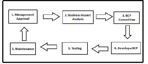 Common Bcp Process [3] [4] Download Scientific Diagram
