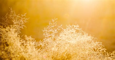 Безкоштовне стокове фото абстрактний безтурботний блискучий боке