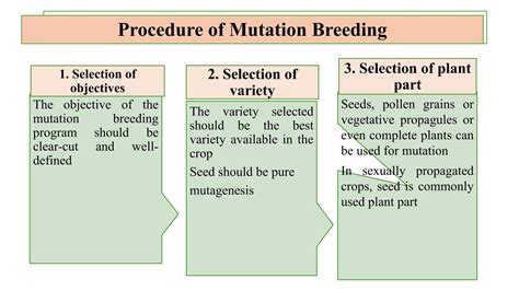 Presentation On Mutation Breeding For Oligogenic And Polygenic Traitspptx
