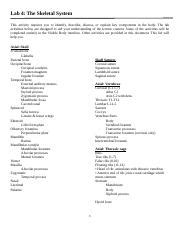 Lab Skeletal System Docx Lab The Skeletal System This Activity Requires You To