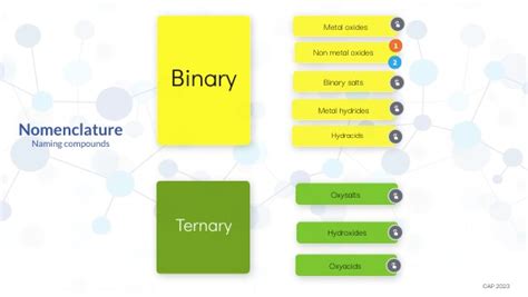 Nonmenclature Summary Genially