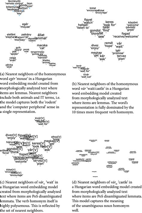 2 dimensional projections of nearest neighbors of homonymous polysemous