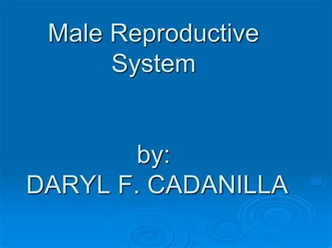 Male Reproductive System Ppt Pptx Infertility Reproductive Health