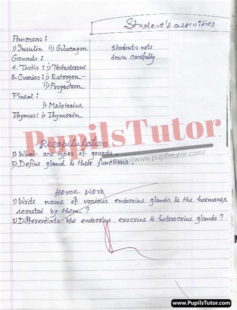 Endocrine Glands Lesson Plan For Class 8 And 9 Biological Science