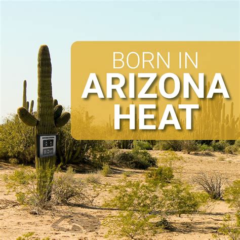 Jamie Risner Posted On Linkedin