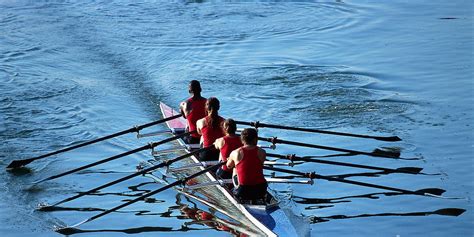 Is Everyone Rowing In The Same Direction Kingswell