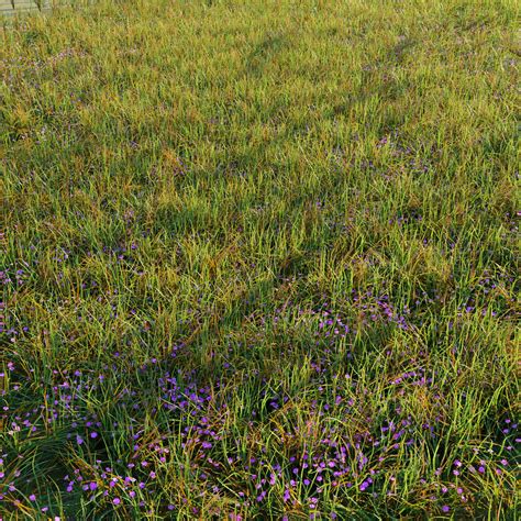 Grass Grass Models Blenderkit