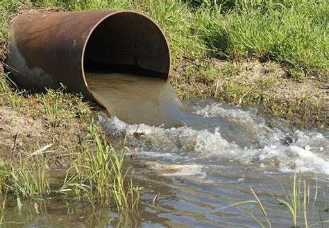 فریدن در آغوش آلودگی سلامت و کشاورزی با پساب آلوده تهدید می‌شود خبرگزاری مهر اخبار ایران و