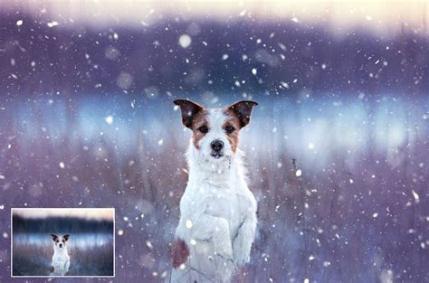 اکشن بارش برف کاملا طبیعی در عکس برای فتوشاپ