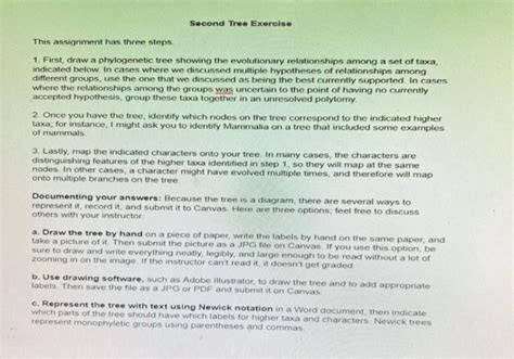 Second Tree Exercise This Assignment Has Three Steps
