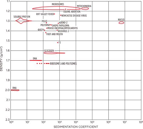 Fundamentals Of Ultracentrifugal Virus Purification