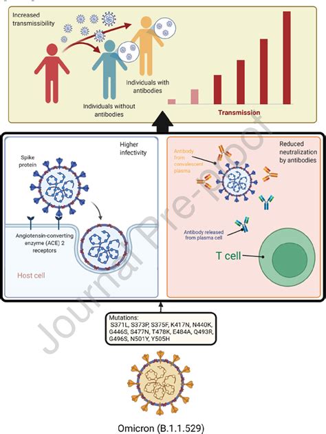 Figure 1 From Global Emerging Omicron Variant Of Sars Cov 2 Impacts Challenges And Strategies