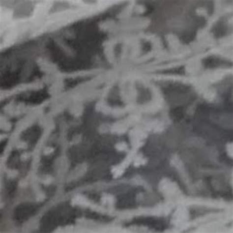 Thomas Punnoose Youtube