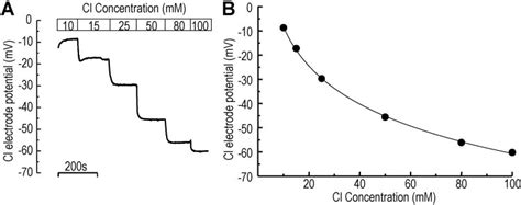 Calibration Of Cl Sensitive Microelectrodes A Voltage Response Of A Download Scientific