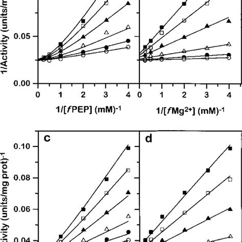 Double Reciprocal Plots Of Initial Velocity Of The Non Phosphorylated