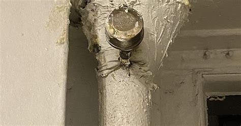 Ceiling Album On Imgur