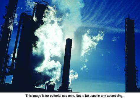 Common Carcinogens Everyone Should Know About Easyblog