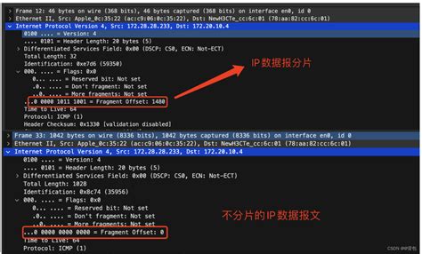 基于wireshark的arp协议分析和ip报文、icmp报文的分析｜网络数据抓包｜课程设计｜traceroute｜ping