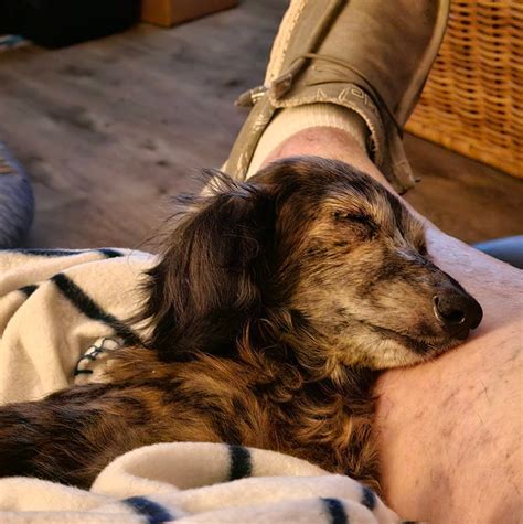 Lori Jo Hendrix Lori Jo Hendrix